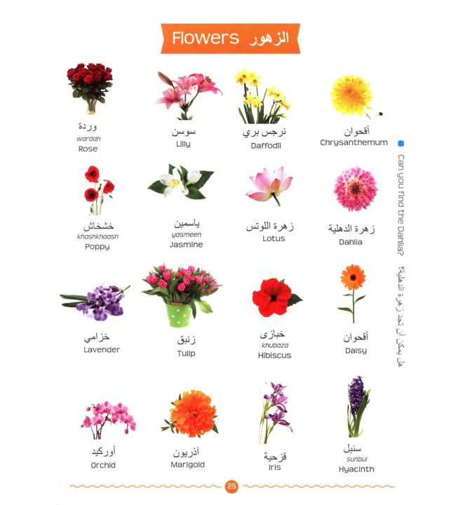 My First Arabic Words – eIslamWorld